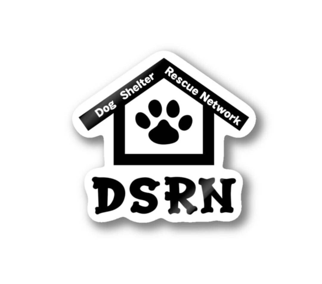 ドッグシェルターレスキューネットワーク(DSRN) :: ペットのおうち【里親決定25万頭！】
