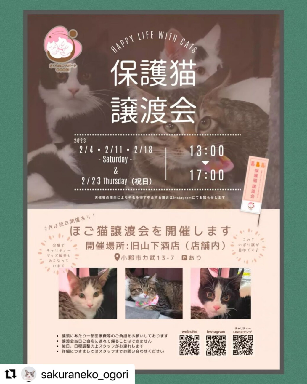 「NPO法人さくらねこサポ...」（NPO法人さくらねこサポートOGORIのイベント #17770） :: ペットのおうち【里親決定25万頭！】