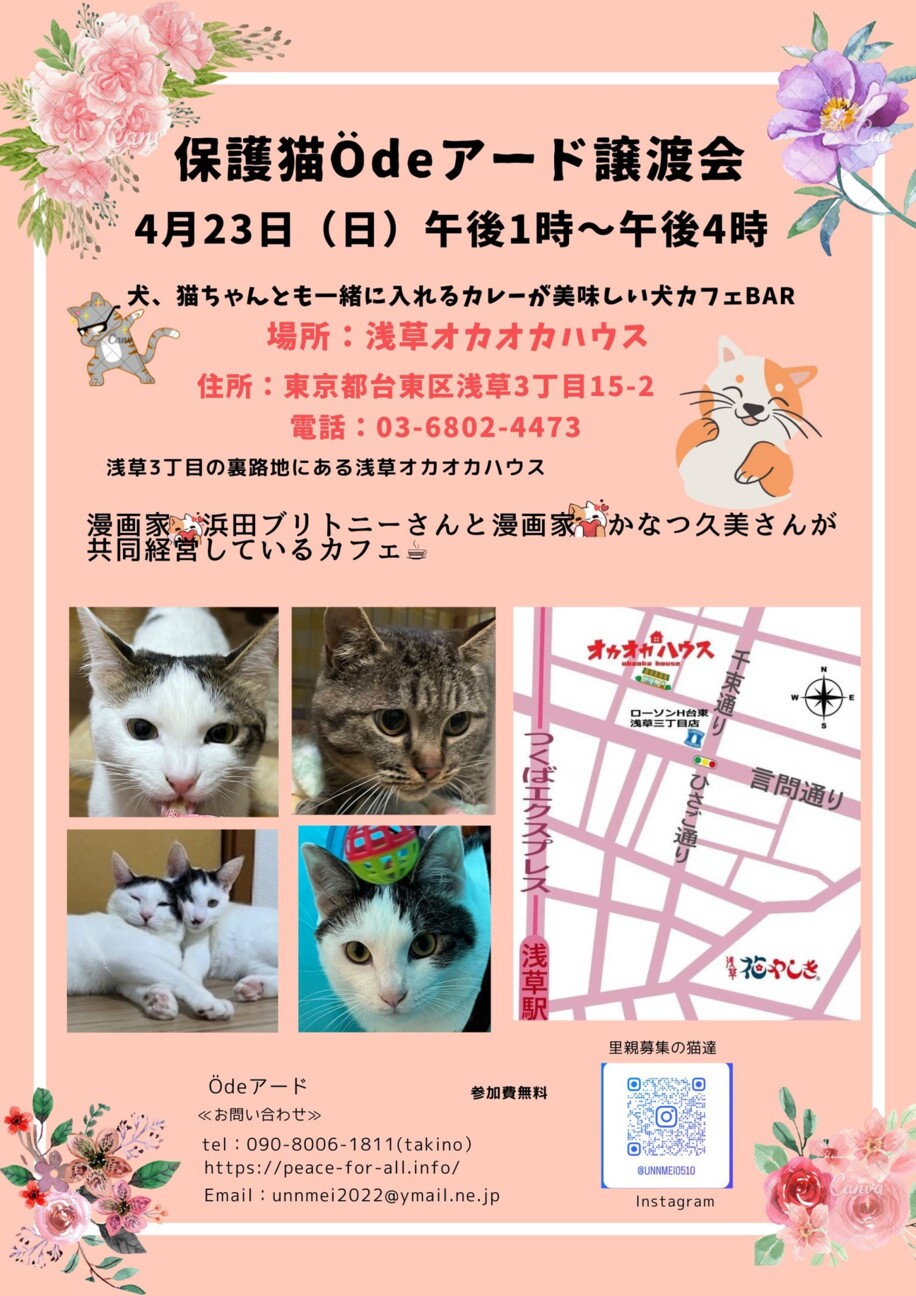 「保護猫Ödeアード譲渡会」（Ödeアードのイベント #18513） :: ペットのおうち【里親決定25万頭！】