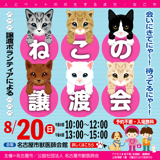 「猫の譲渡会☆大須商店街近く」（名古屋市獣医師会 名古屋市人とペットの共生サポートセンターのイベント #19327） :: ペットのおうち ...
