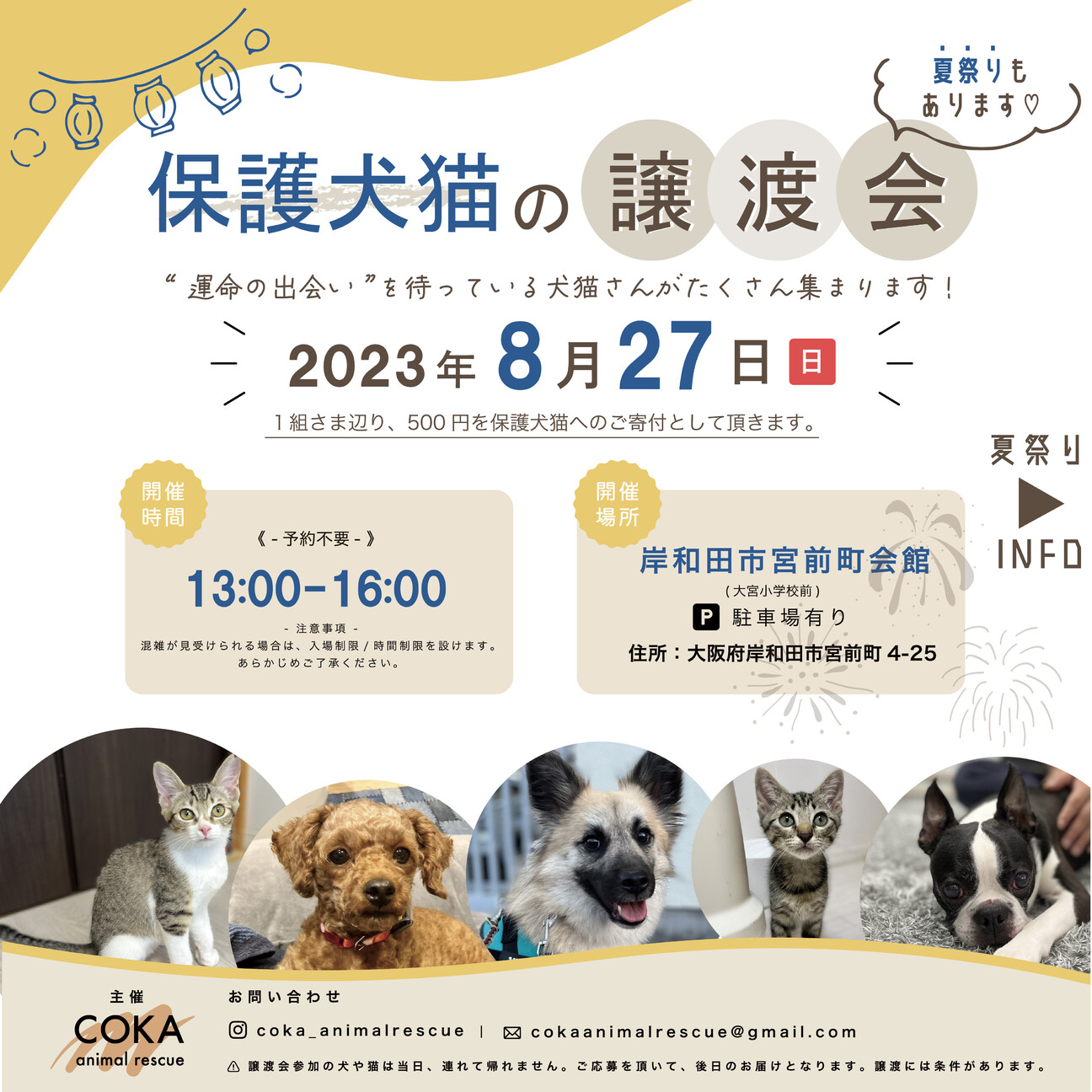 「保護犬猫の譲渡会&夏祭り」（COKA animal rescueのイベント #19589） :: ペットのおうち【里親決定25万頭！】