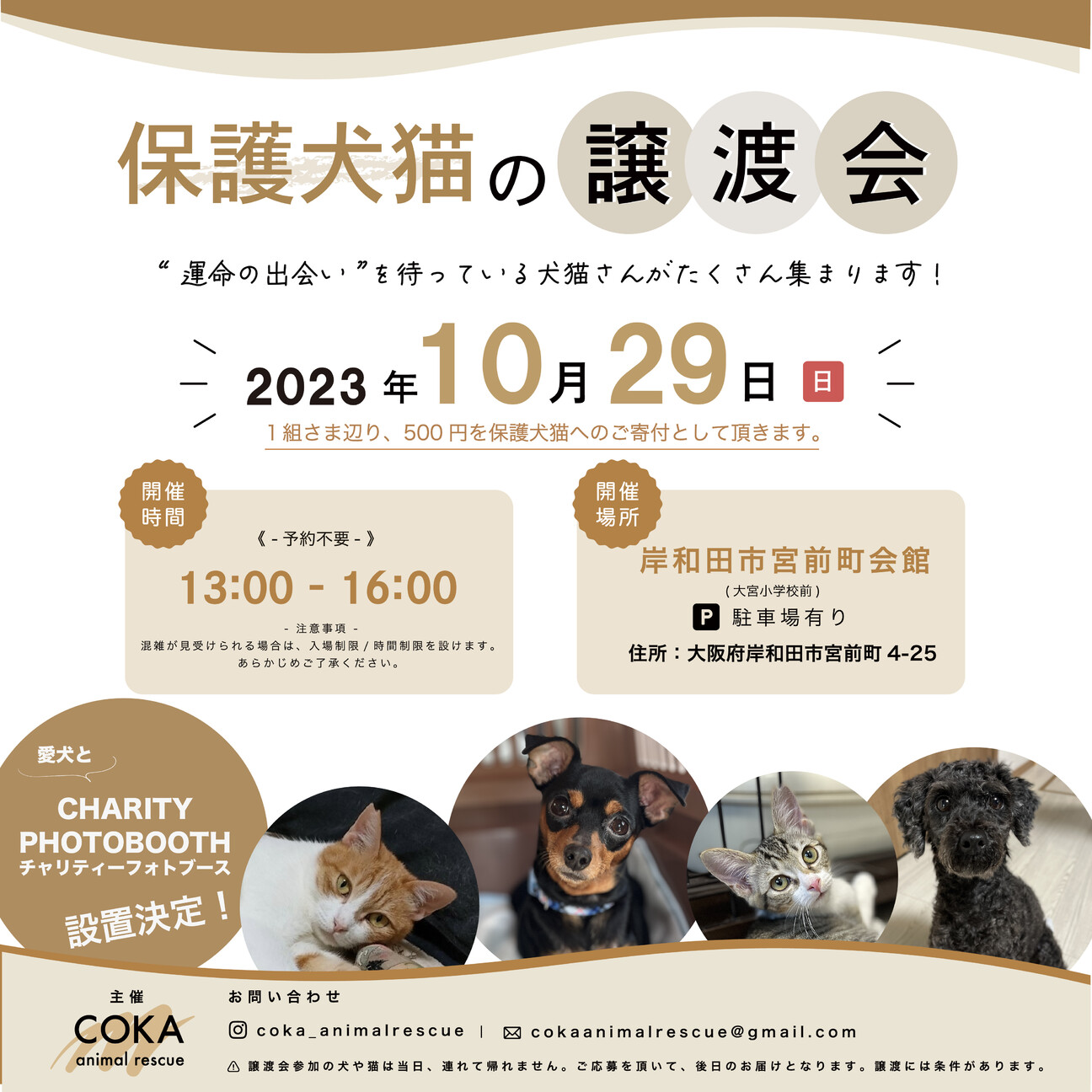「保護犬猫の譲渡会@大阪府...」（COKA animal rescueのイベント #20240） :: ペットのおうち【里親決定25万頭！】
