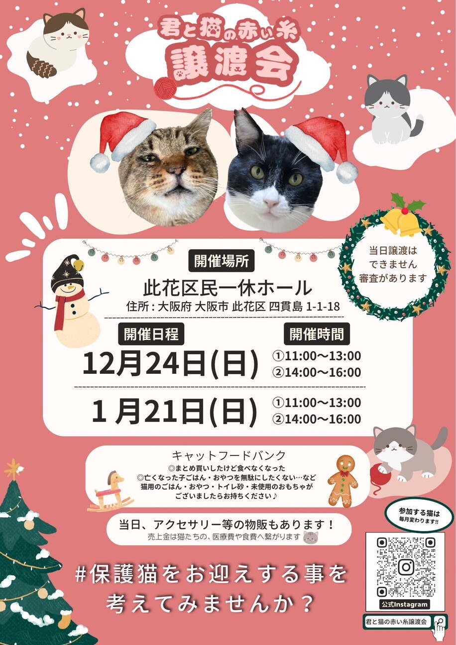 「君と猫の赤い糸譲渡会」（保護猫シェルター ねこの里LEGAREのイベント #20999） :: ペットのおうち【里親決定27万頭！】