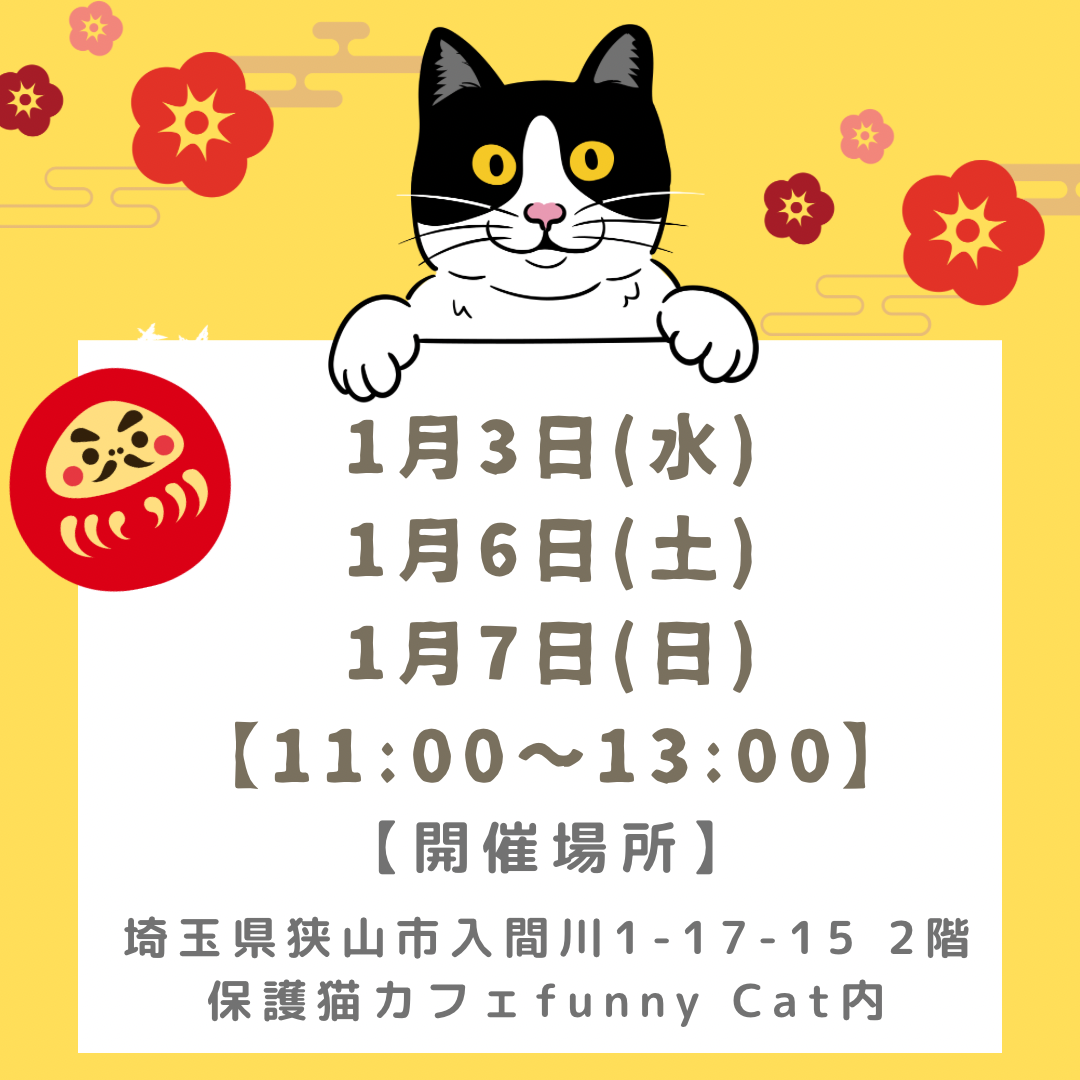「子猫だらけの譲渡会in ...」（保護猫カフェfunnyCat（ファニーキャット）のイベント #21185） :: ペットのおうち【里親決定 ...