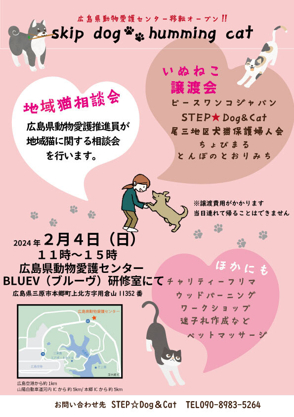 「skip dog 」（STEP☆のイベント #21365） :: ペットのおうち【里親決定25万頭！】