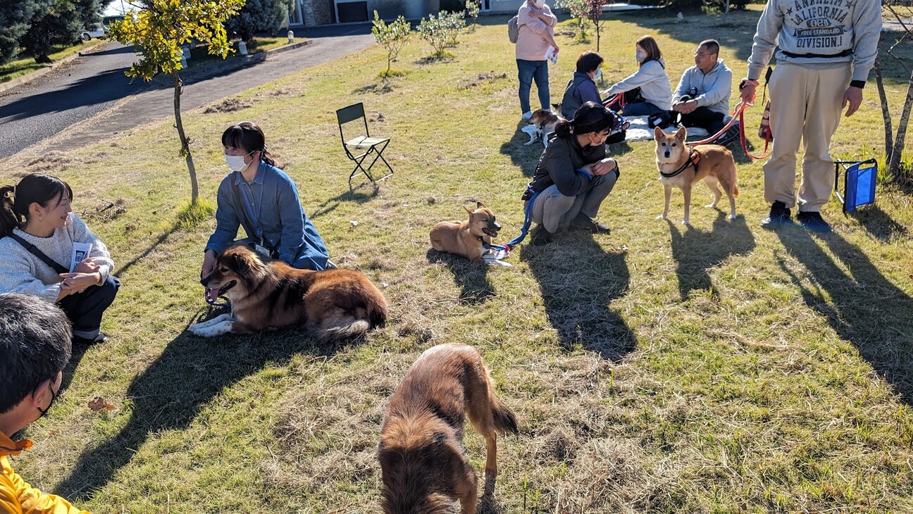 「CAPIN里親会inつく...」（しみゃおのイベント #21567） :: ペットのおうち【里親決定25万頭！】