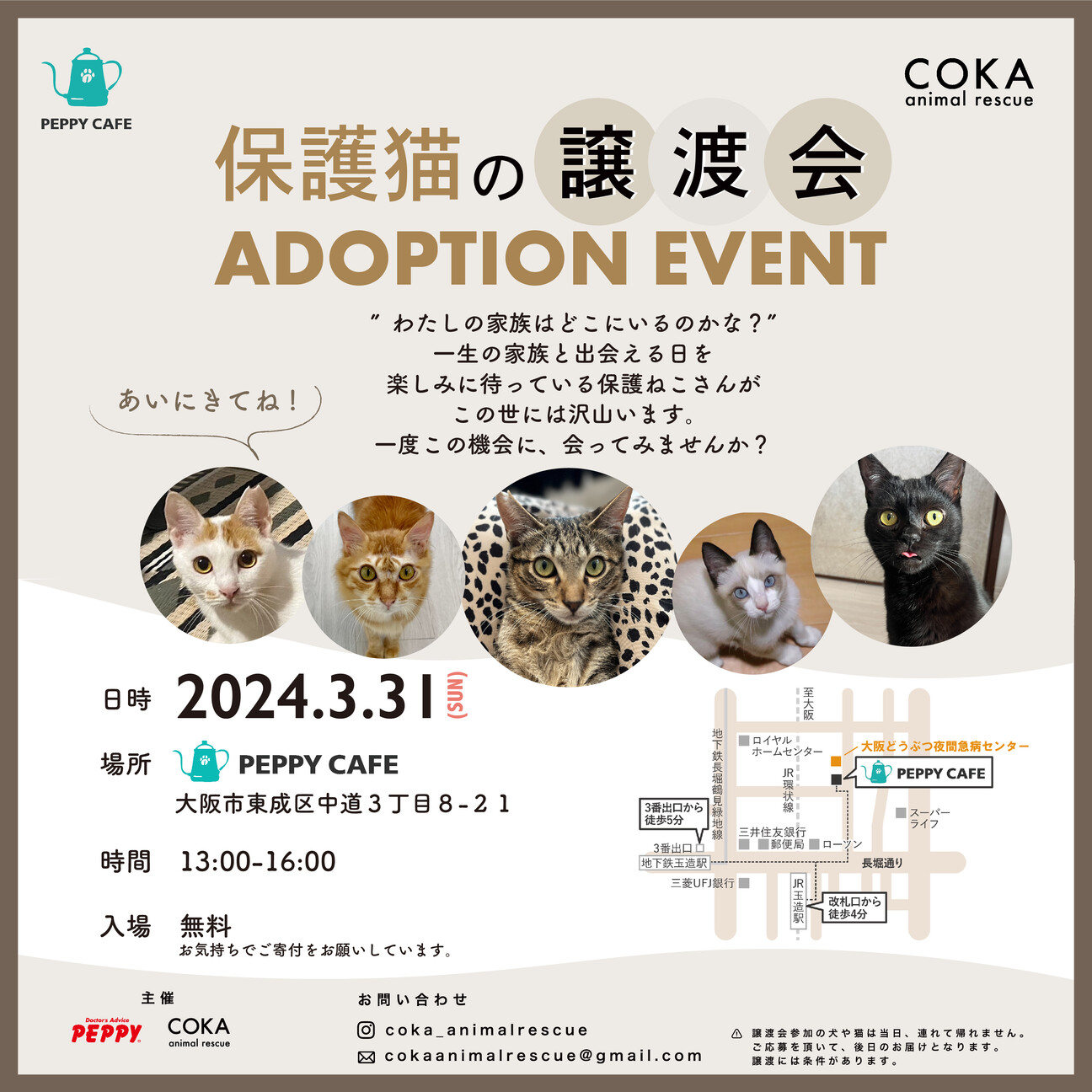 「カフェでおしゃれな譲渡会...」（COKA animal rescueのイベント #22002） :: ペットのおうち【里親決定25万頭！】