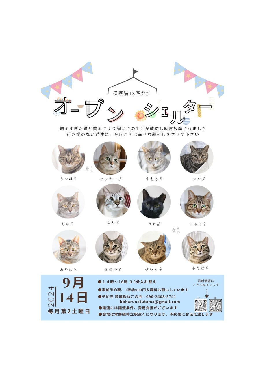 「オープンシェルター」（はせがわのイベント #23509） :: ペットのおうち【里親決定28万頭！】