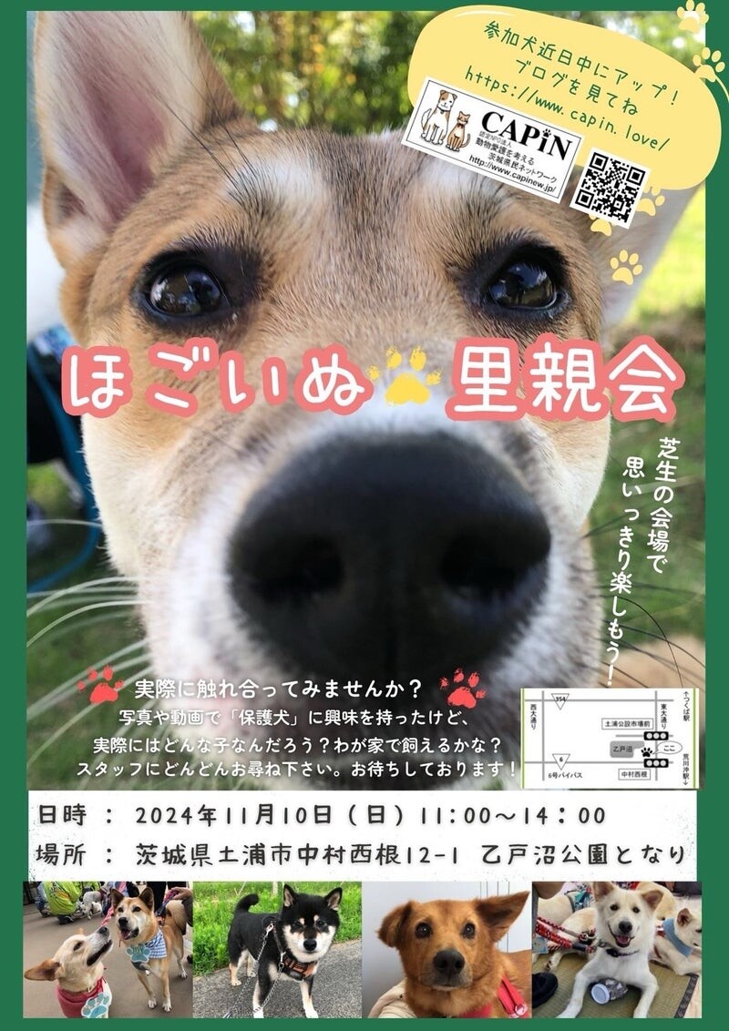「CAPIN里親会inつく...」（しみゃおのイベント #24087） :: ペットのおうち【里親決定28万頭！】