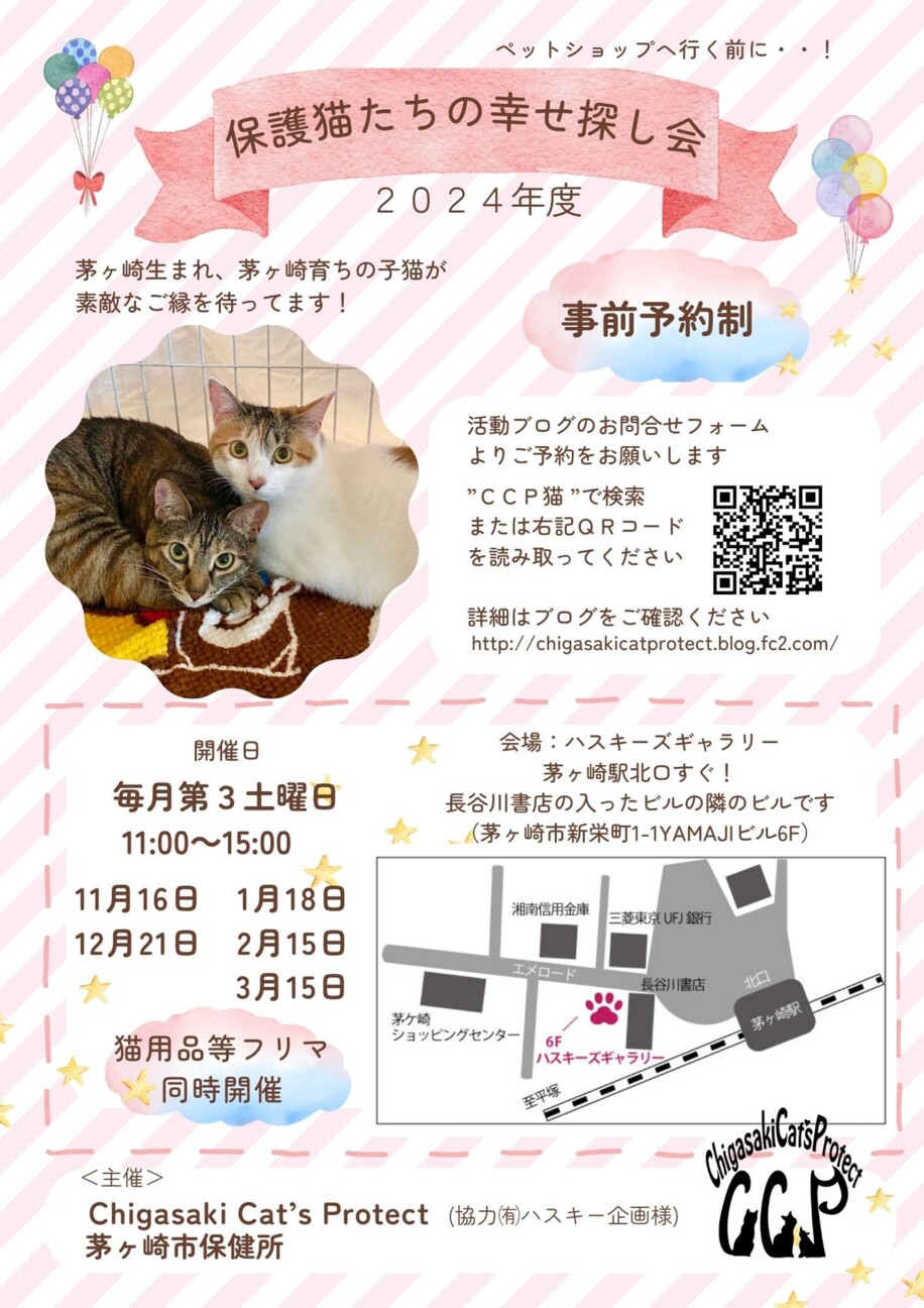 「第146回 保護猫たちの...」（Chigasaki Cat's Protectのイベント #24399） :: ペットのおうち【里親決定 ...