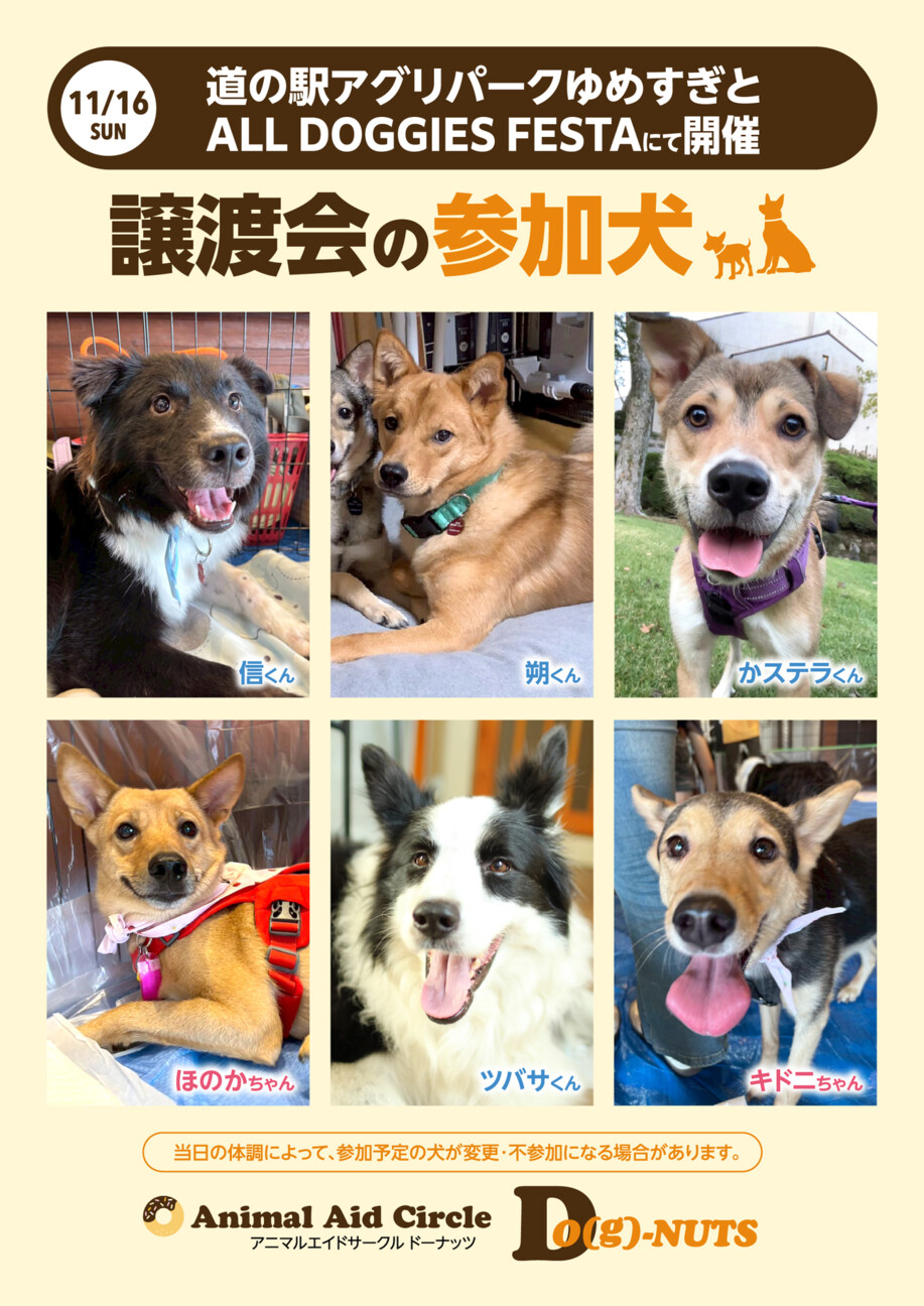 「ALL DOGGIES ...」（Animal Aid Circle Dog-Nuts （ドーナッツ）のイベント #27556 ...